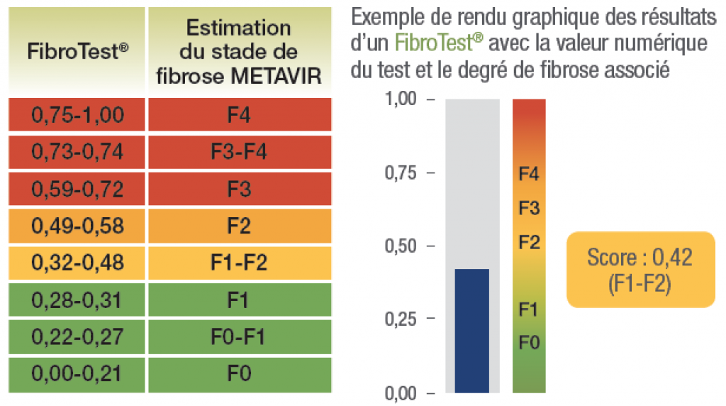 Fibrotest® - nous sommes HÉPATANTS